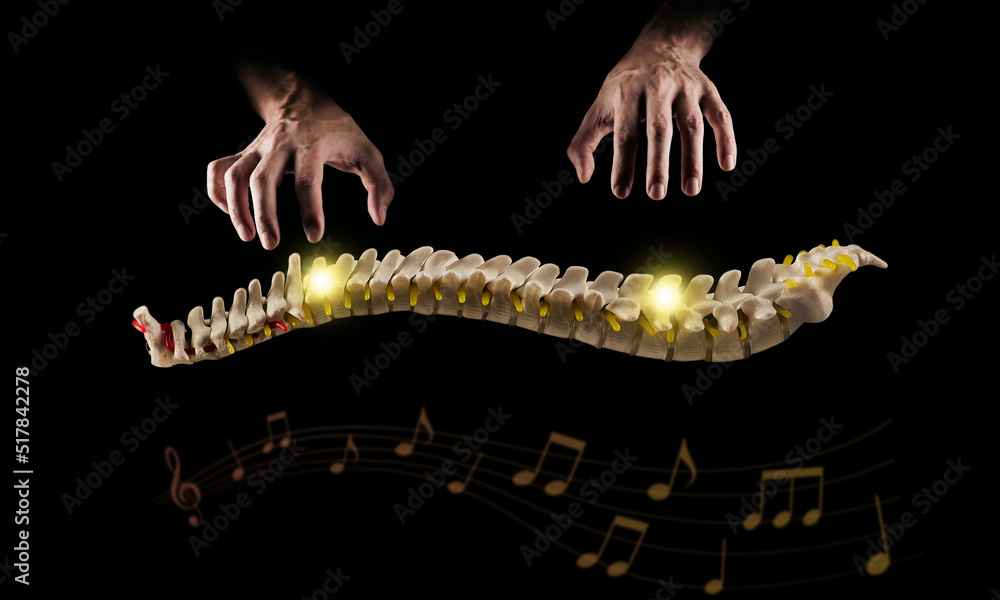 Osteopathy, concept. Osteopath professionally treating patient's spine ...