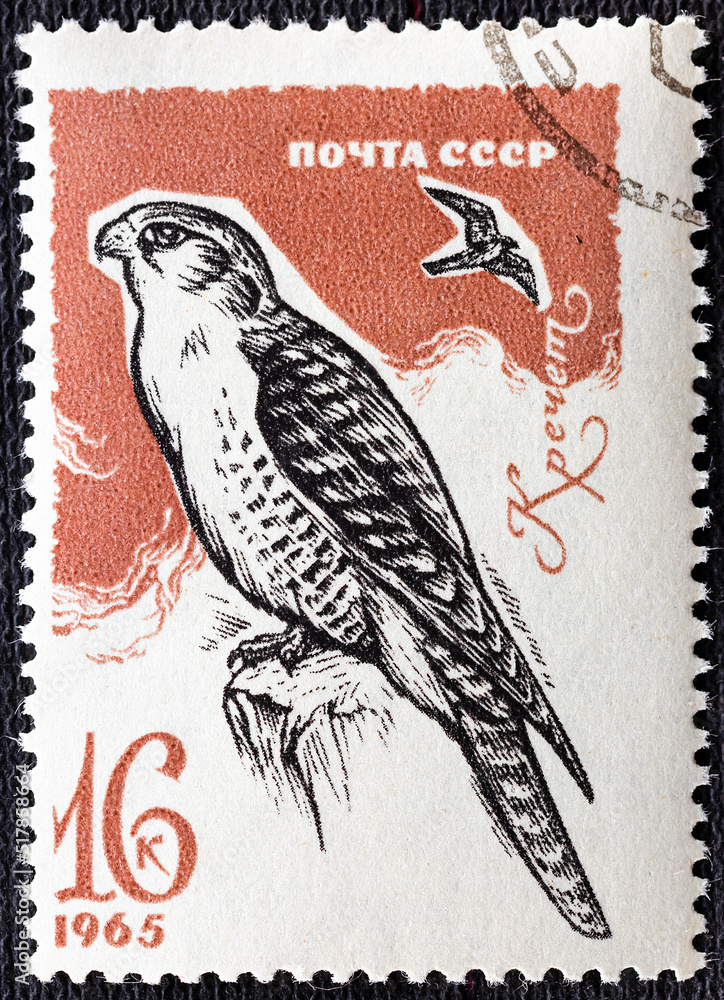 USSR-circa 1965: postage stamp printed in the USSR with the image and ...