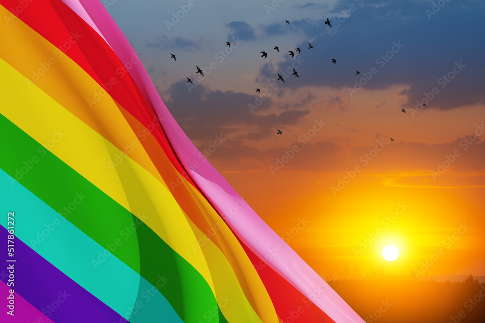 Waving LGBT pride flag on sunset sky with flying birds, rainbow flag ...