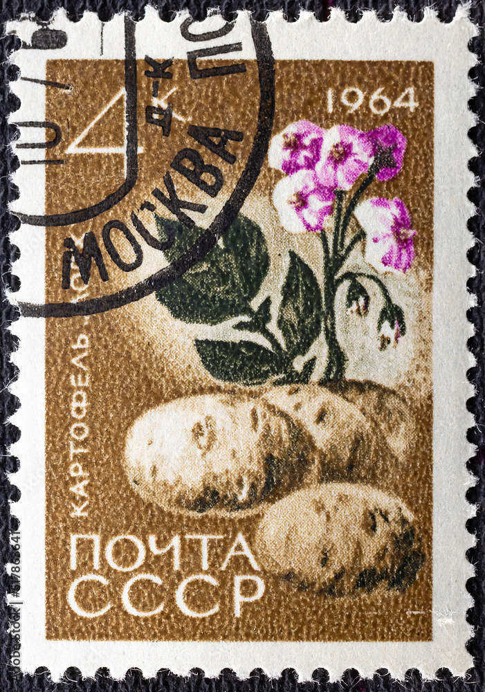 SOVIET UNION - CIRCA 1964 : Cancelled postage stamp printed by USSR ...