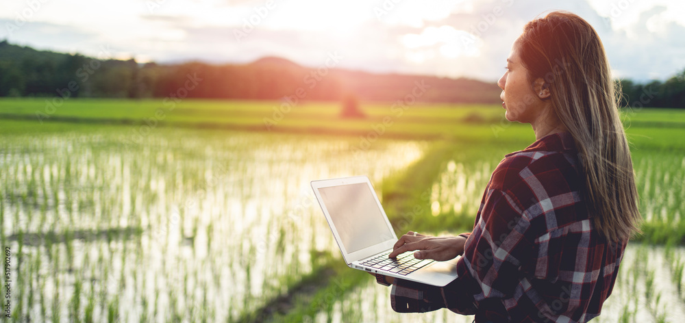 Asian woman farmer using laptop to store farm data In the evening with ...