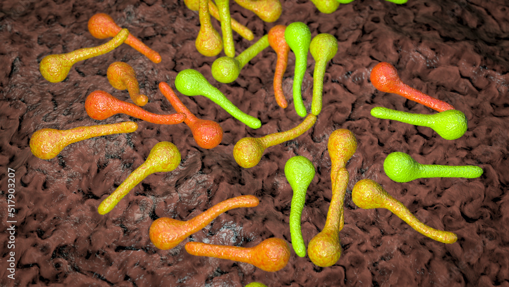 Clostridium tetani bacteria Stock Illustration | Adobe Stock