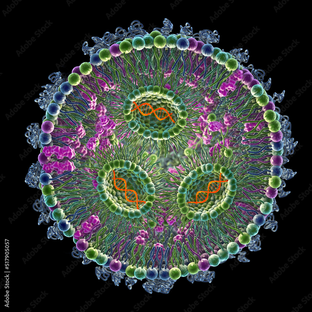 Lipid nanoparticle siRNA antiviral delivery system, 3D illustration ...