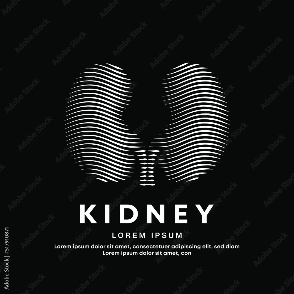 Human kidney medical structure. Simple line art Kidney Urology Care ...