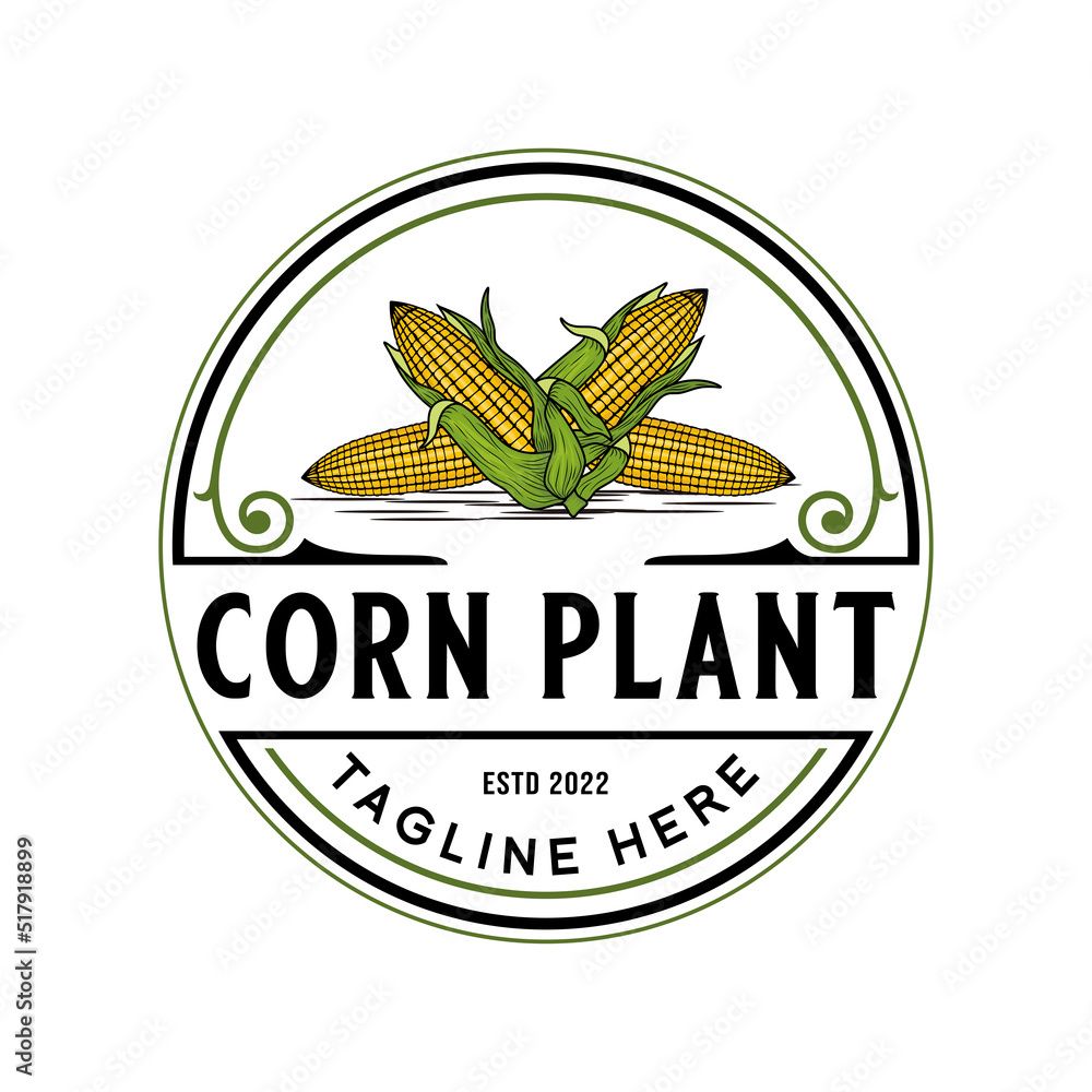 corn vector logo vintage design. corn plant theme for agriculture, corn ...