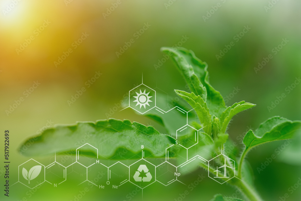 Plants background with biochemistry structure,Smart virtual screen ...