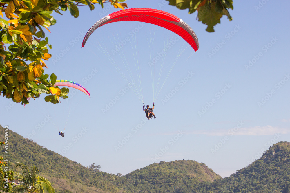 red wing flying Stock Photo | Adobe Stock