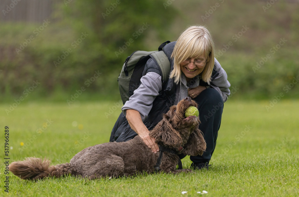 Blonde woman and brown cockapoo with tennis ball in mouth looking at ...
