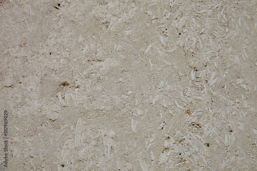 This is a light limestone slab with traces of shells. Shell rock ...