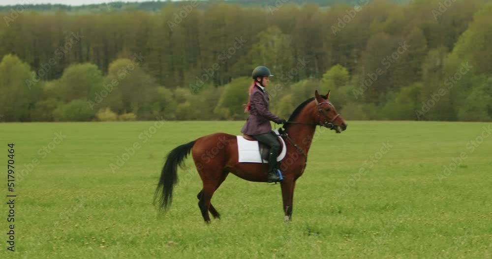 Horse running sport, woman jockey riding horse racing outdoor ...