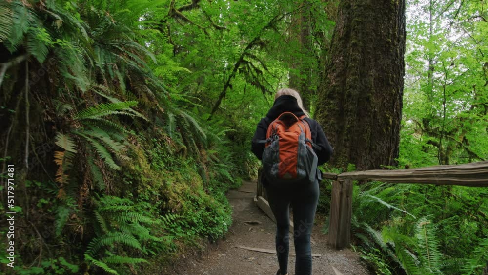 Girl hiking during vacation at wilderness area of Olympic National Park ...