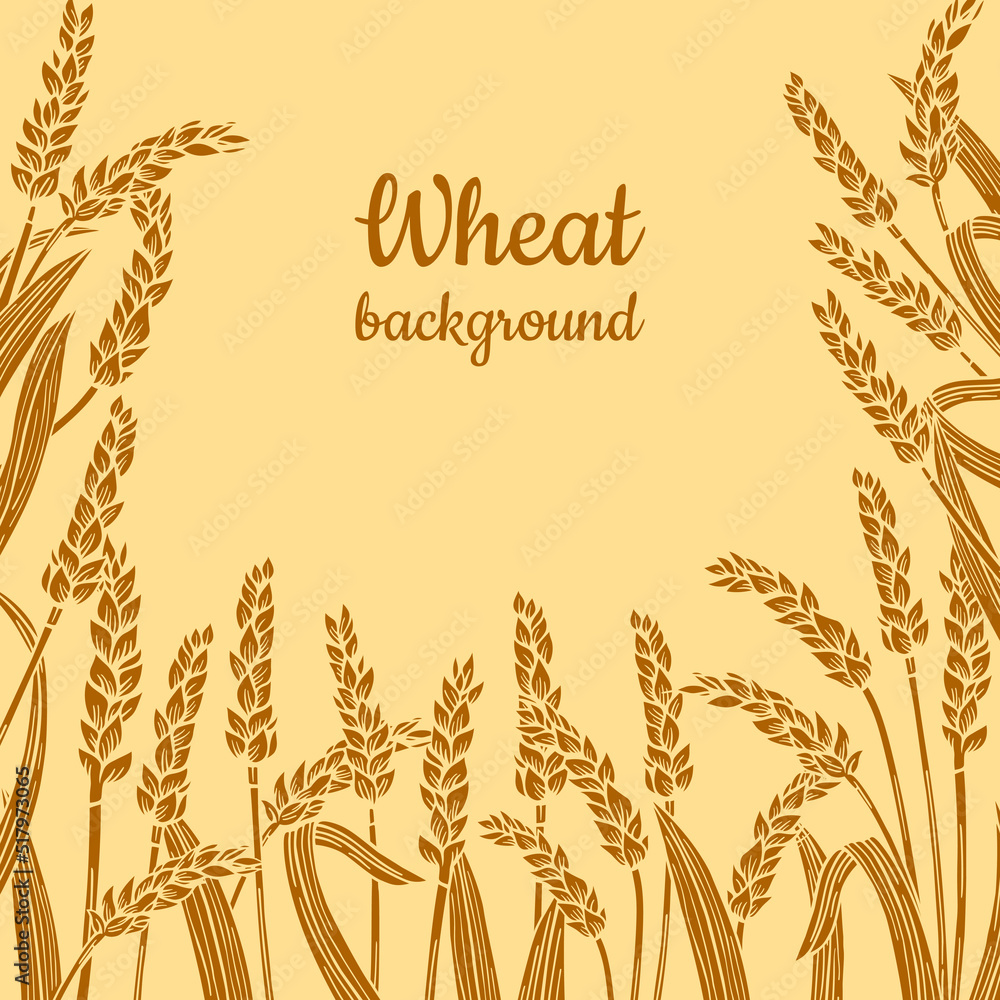 Wheat ear golden sketch frame background. Design template cereals ripe spike wheat, border ...