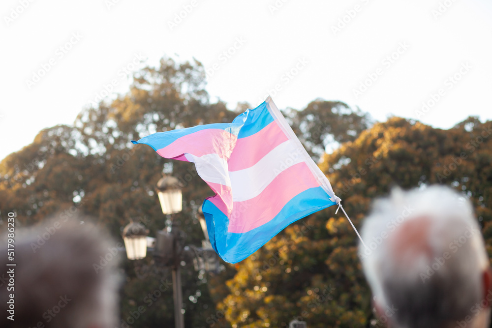 Transgender flag having five horizontal stripes of three colors—light ...