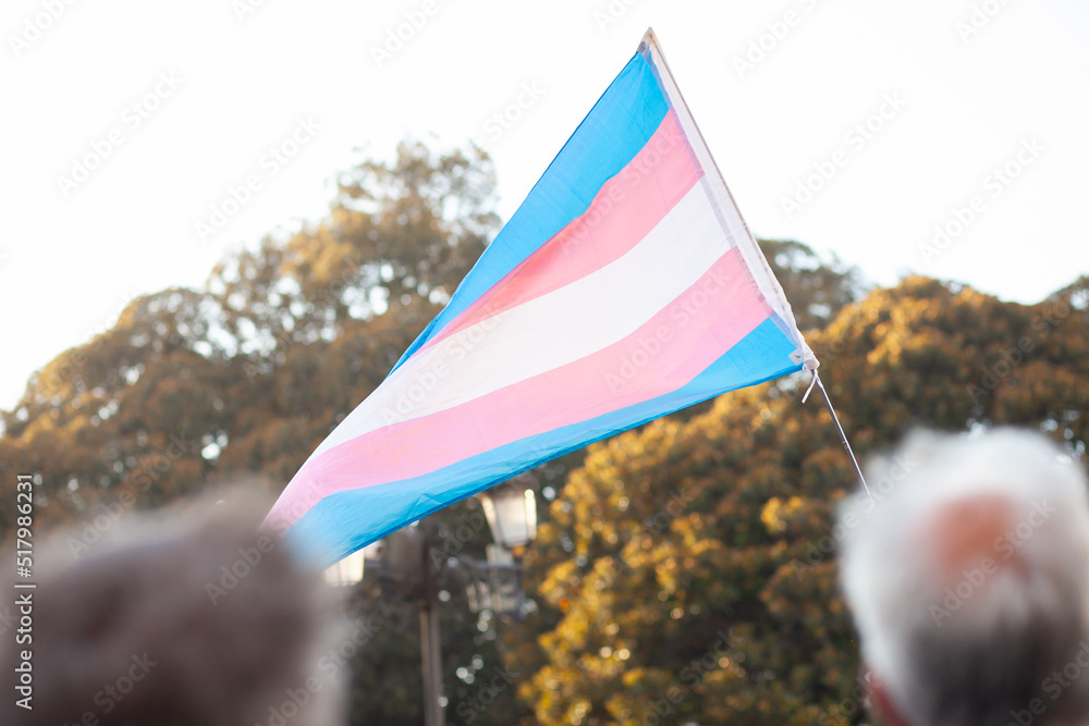 Transgender flag having five horizontal stripes of three colors—light ...