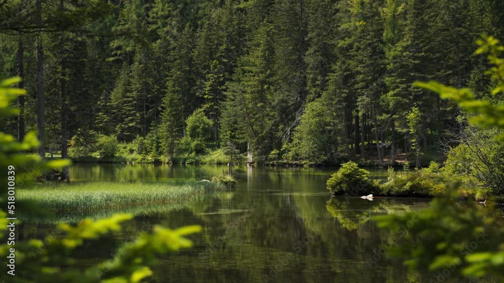 Gruner See, beautiful green lake with crystal clear water in summer ... Gruner See, beautiful green lake with crystal clear water in summer ...