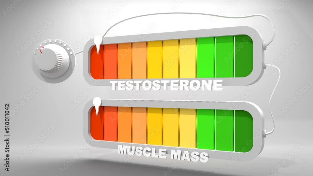 Body condition and testosterone meter scales. The muscle mass level ...