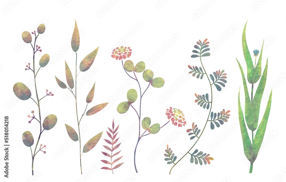 Set of watercolor plants and flowers cliparts, illustration design ...