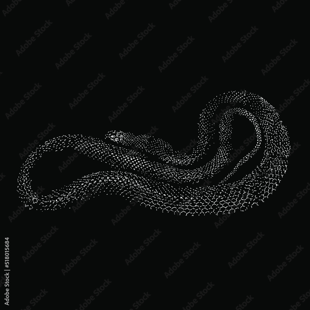 Fierce Snake hand drawing vector illustration isolated on black ...