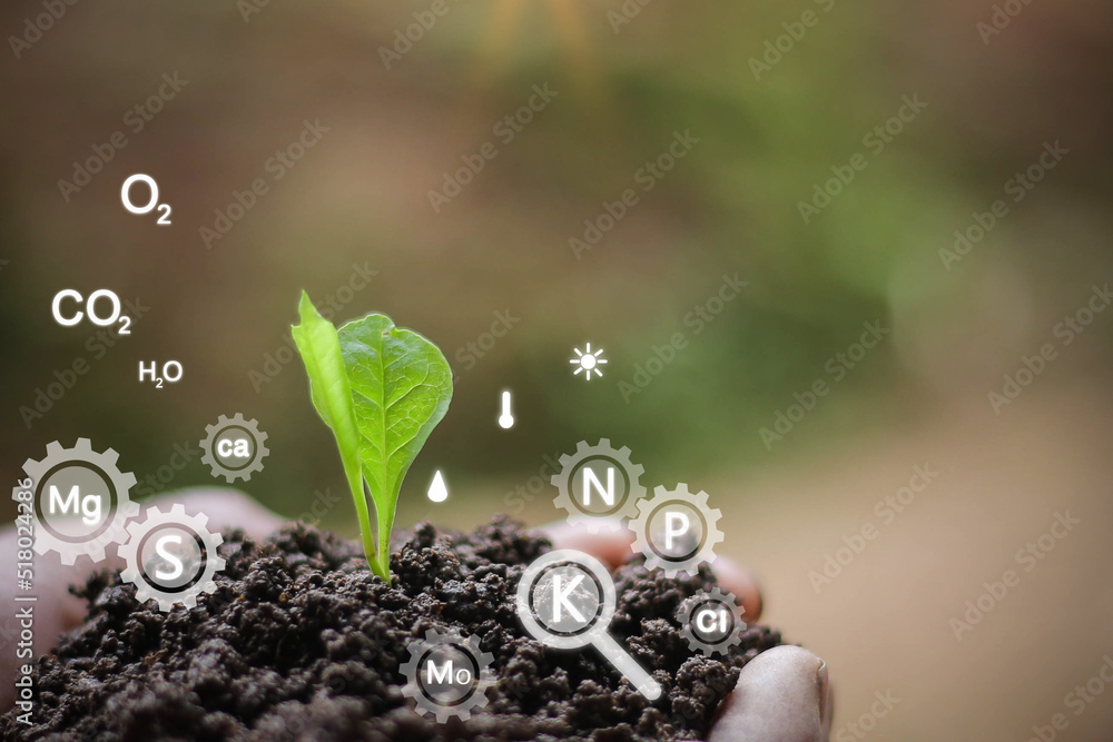 Trees and soil on hand to monitor soil quality and plants to control ...