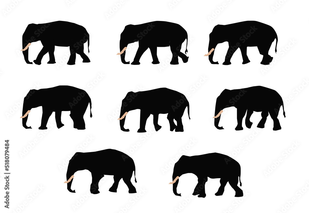 Image sequence for elephant walk cycle, for animation. Stock ...