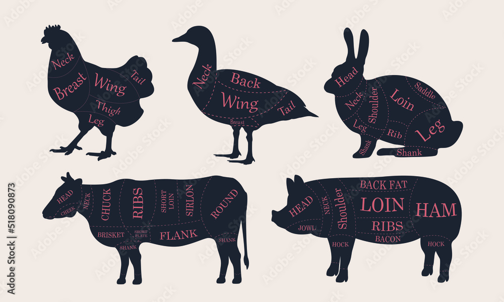 Butcher diagram, diagram set. Silhouettes of a rabbit, chicken, duck ...
