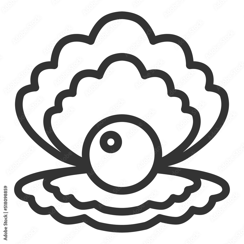 Open Shell Illustration