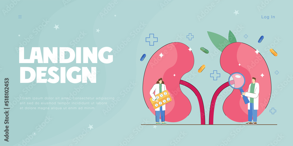 Doctors nephrologists examining patients kidney health. Medical care ...