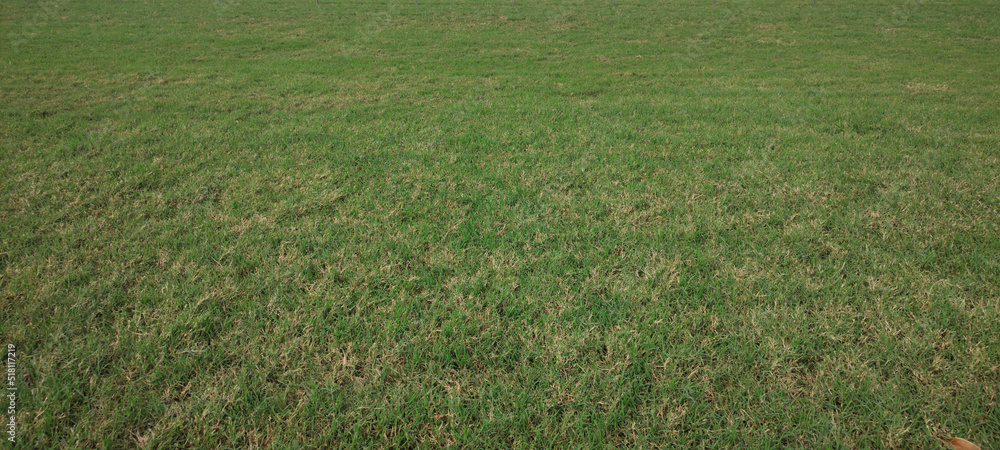 jockey derby lawn grass track arrival path fence grid horizon landscape ...