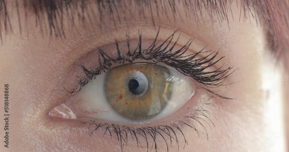Green eye .The iris of the human eye is narrowed. Close up of ...