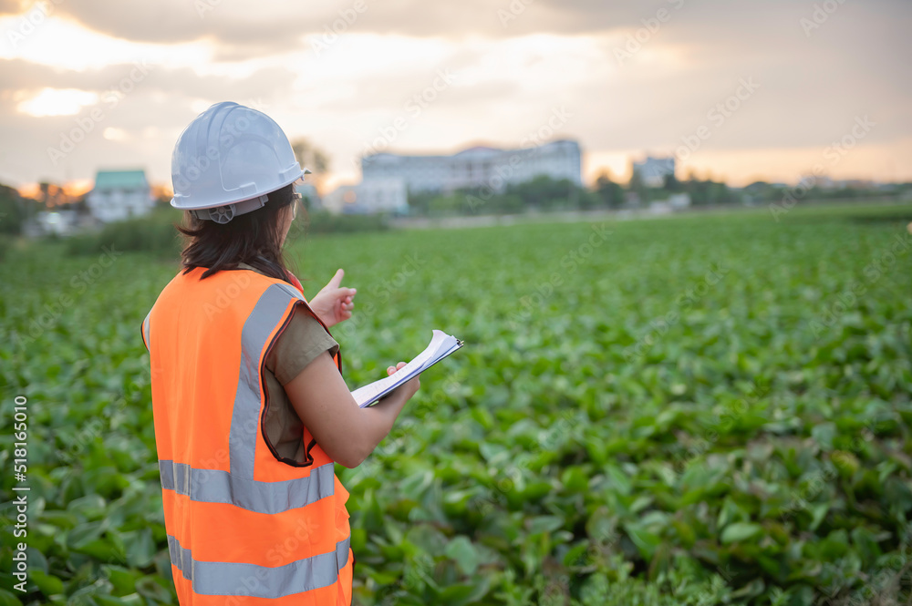 Environmental engineers work at the water storage plant, check the pH ...