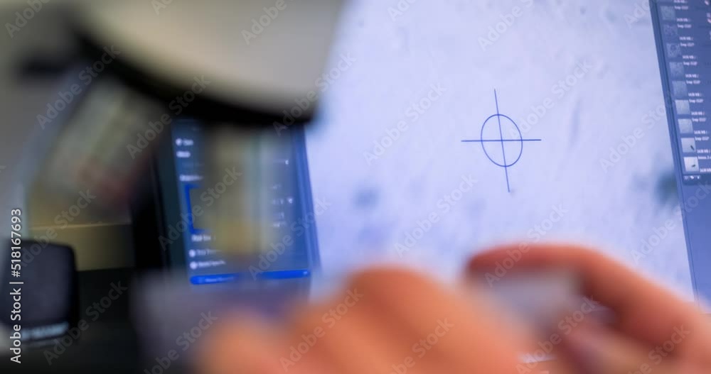 An enlarged live insect is displayed on the monitor of the microscope ...