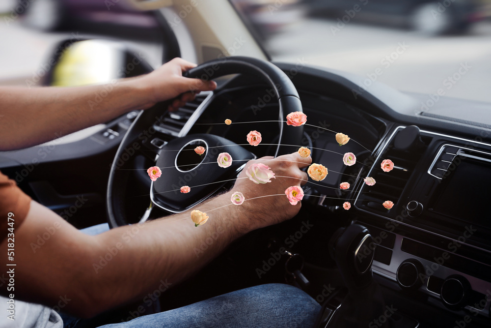 Man enjoying driving car feeling flower scent from ventilation, closeup ...