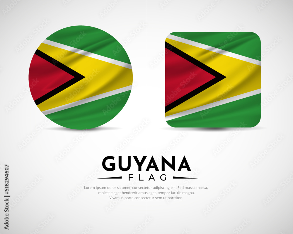 Collection of Guyana flag emblem icon. Guyana flag symbol icon vector ...