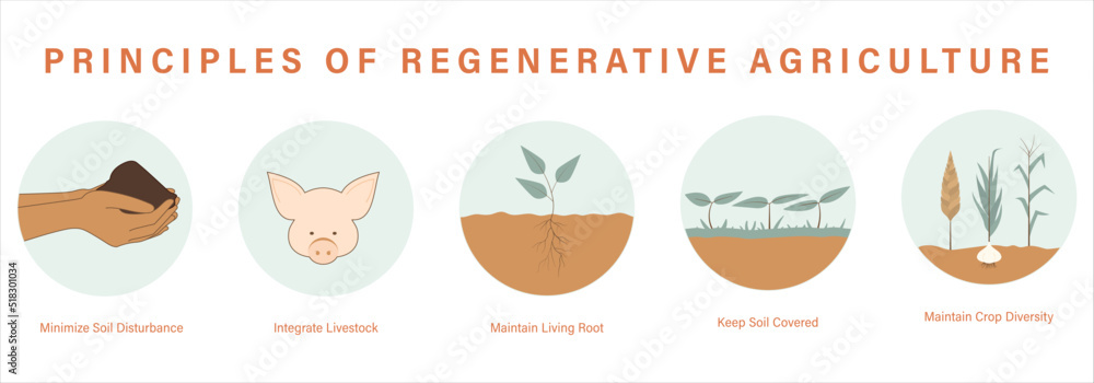 Vetor de Principles of Regenerative Agriculture Icons Minimize Soil ...