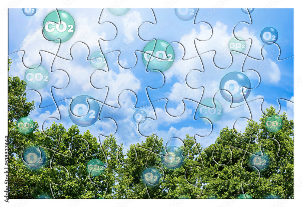 Tree canopy against a sky background with oxygen O2 and carbon dioxide ...