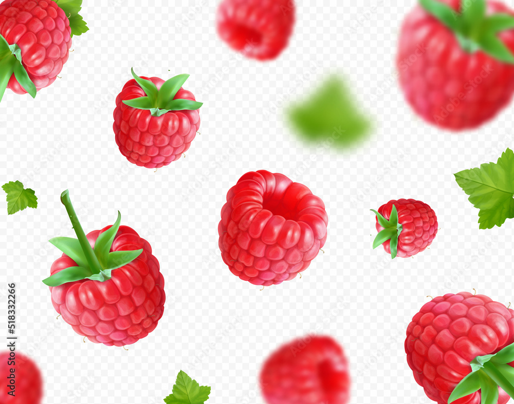 Raspberry background. Realistic raspberry with green leaf falling on ...