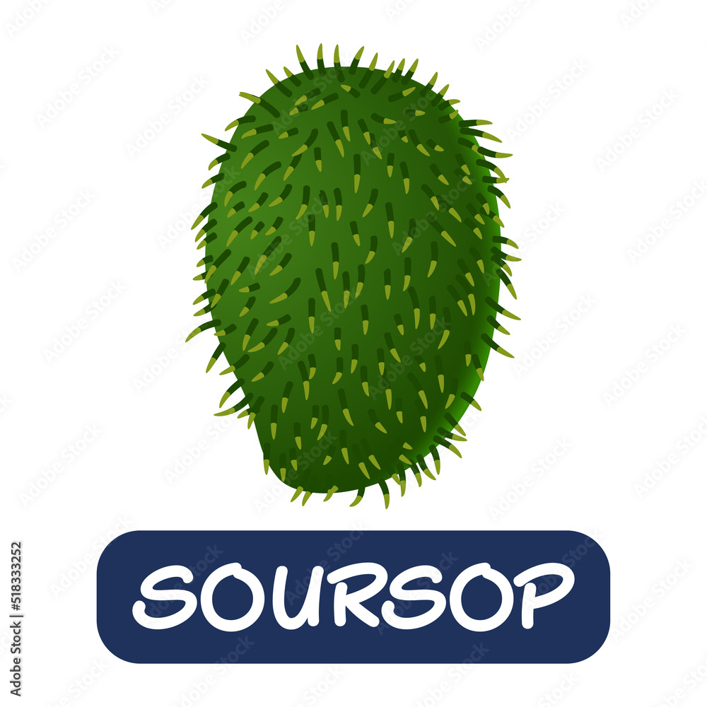 cartoon soursop fruit vector isolated on white background Stock Vector ...