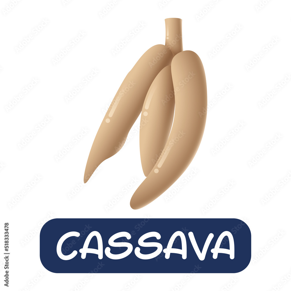 cartoon cassava vegetables vector isolated on white background Stock ...