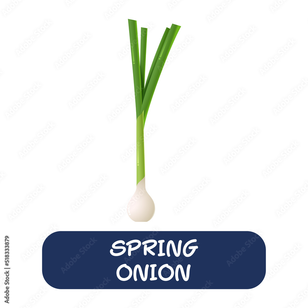 cartoon spring onion vegetables vector isolated on white background ...