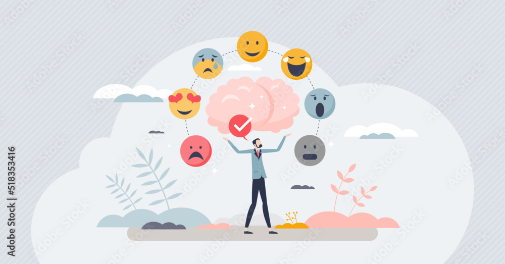 Emotion regulation with emotional intelligence control tiny person ...