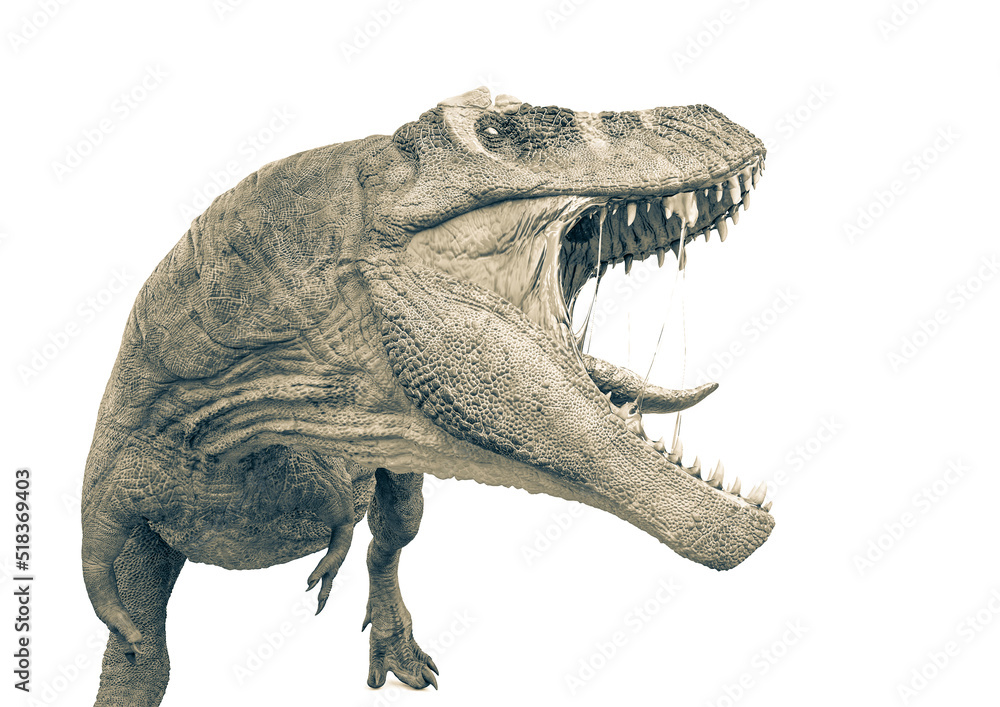 Poster tyrannosaurus rex close up view – Wall Art | UkPosters
