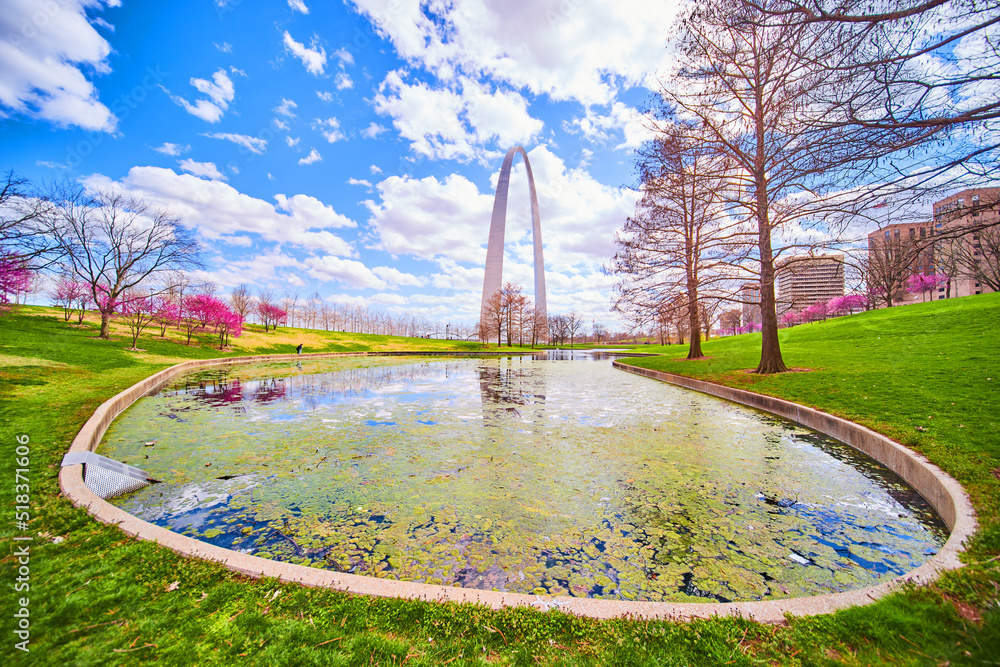 Vibrant spring morning on pond with algae and Gateway Arch of St. Louis ...