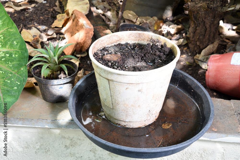 abandoned plastic packaging with stagnant dirty water inside. close ...