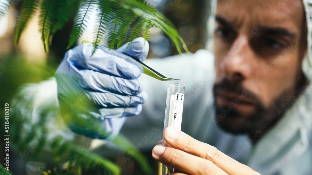 Botanist takes a plant sample for analysis in the mountains Stock Photo ...