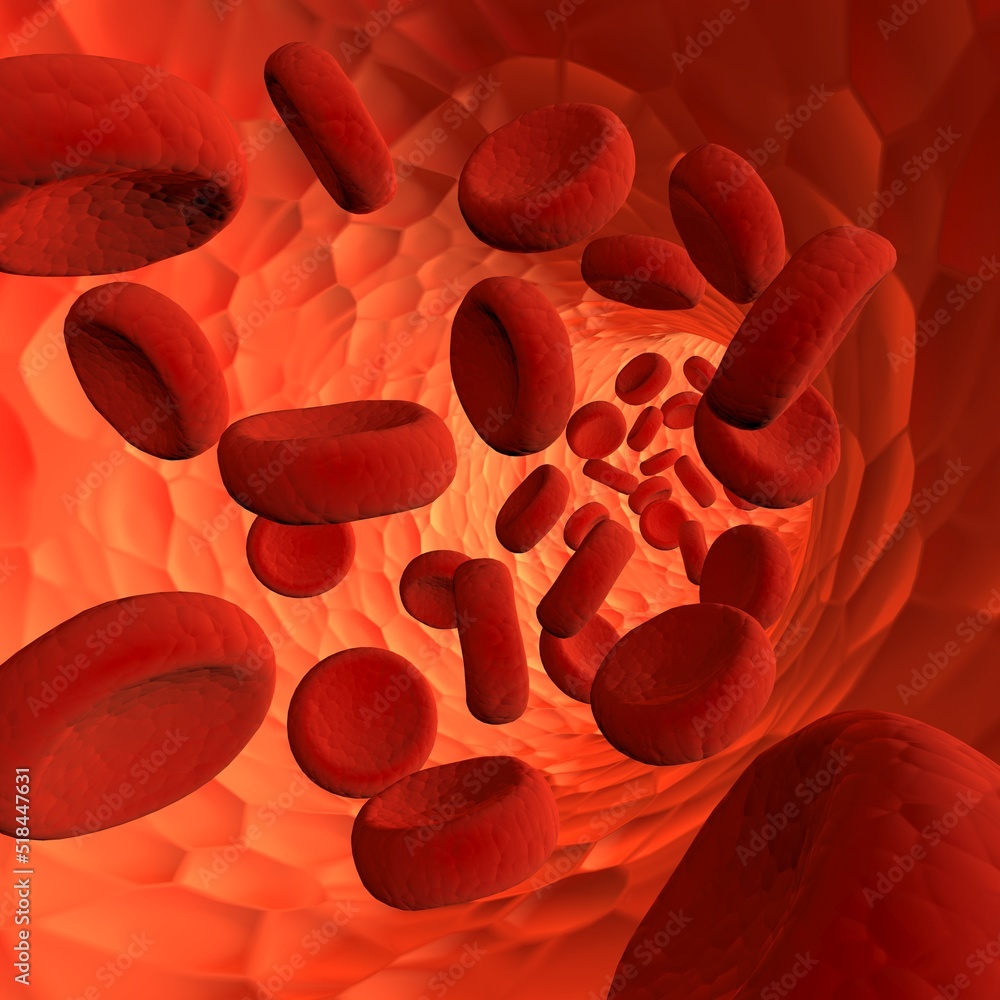 Blood cells flying through arteries. Circulating hemoglobin blood ...