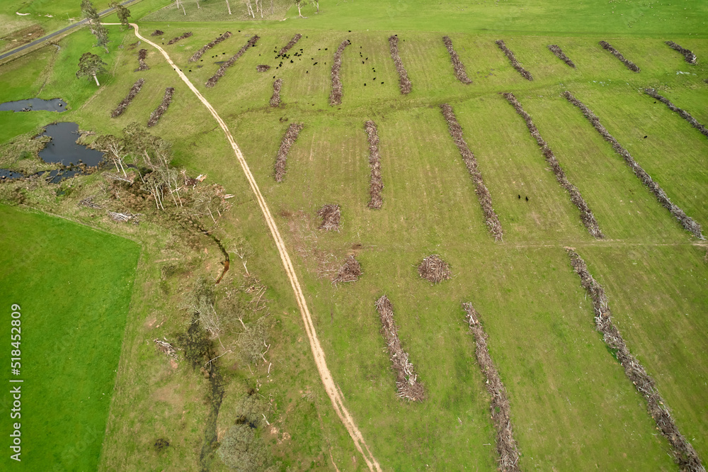 Deforestation for farming & grazing: land clearing of Australian bush ...