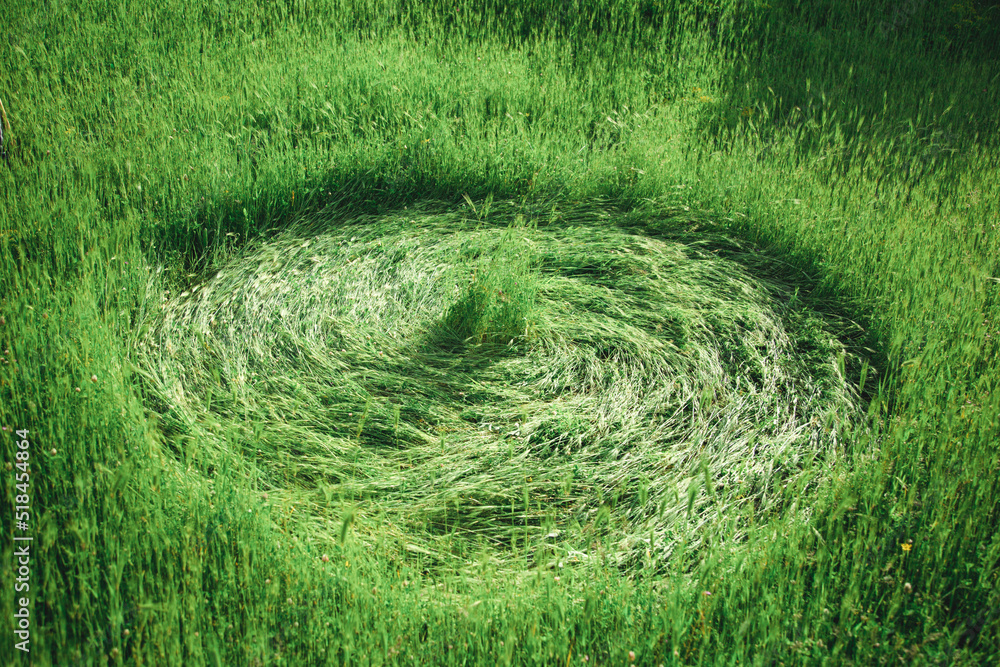 Crop circle 2 Stock Photo | Adobe Stock