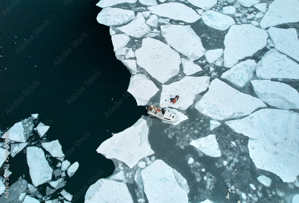 Greenlandic indigenous Eskimo hunters skin seal kill on sea ice floe ...