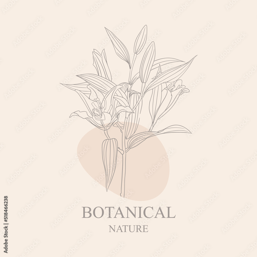 Hand Drawn aesthetic botanical natural logo for branding in modern ...