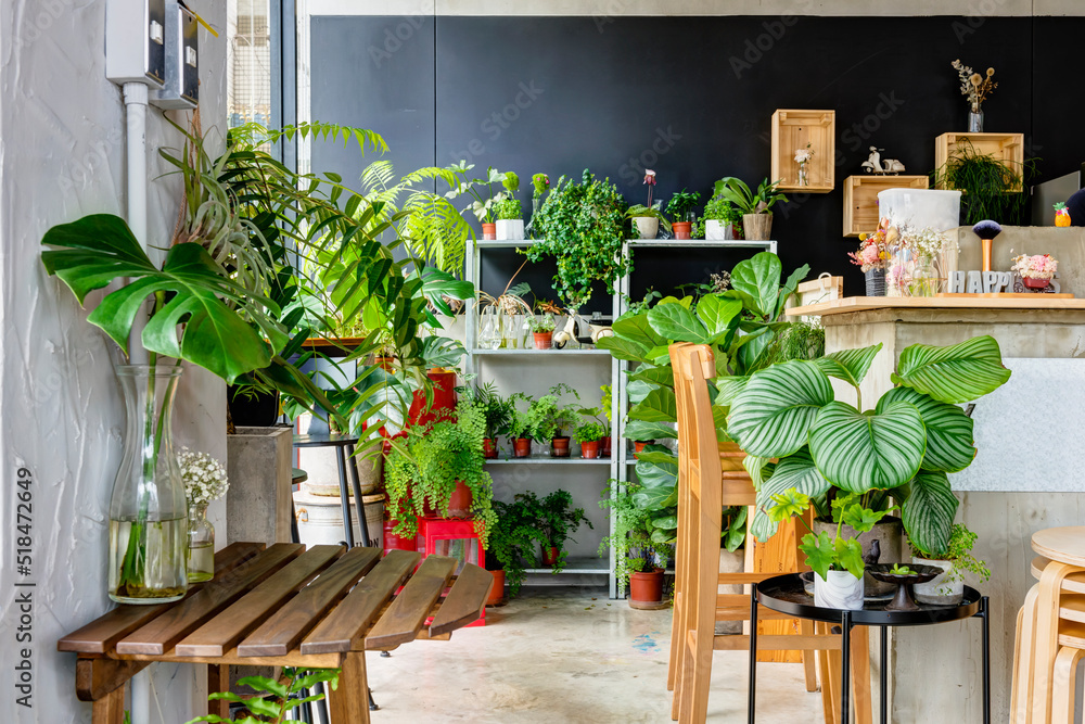 Coffee shop corner with green plants. Stock Photo | Adobe Stock